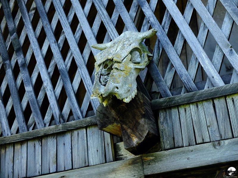 A Soft Melody on the Wind. The Weird House of Pans [Mažonys, Lithuania ...
