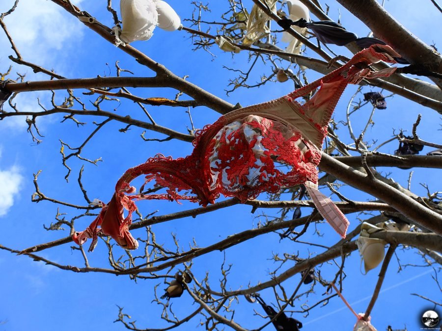 Colorful Fabric Fruit: The Bizarre Bra Tree [Malá Úpa, Czech Republic ...
