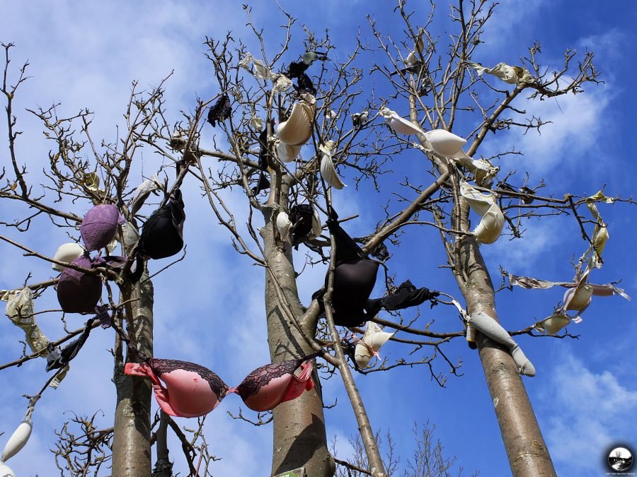 Colorful Fabric Fruit: The Bizarre Bra Tree [Malá Úpa, Czech Republic ...