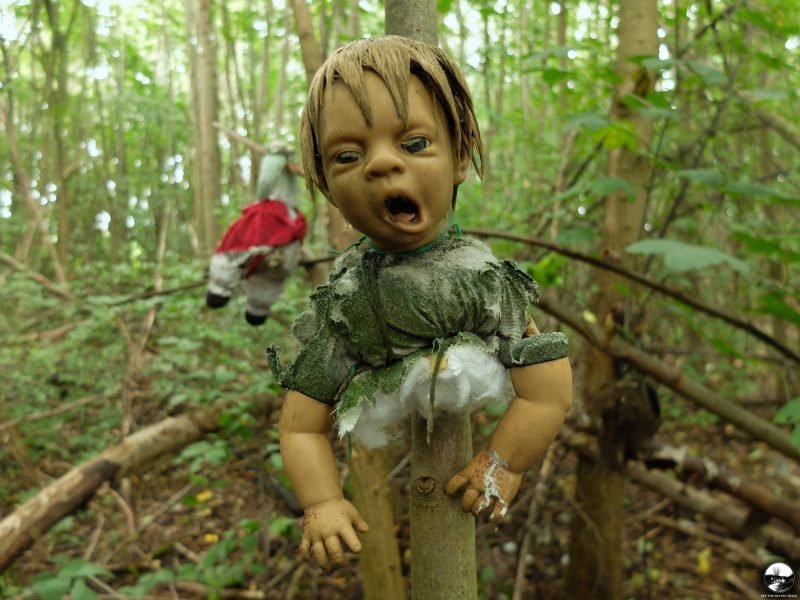 Cute and Spooky. Creepy Dolls in the Forest [Germany] - Off the Beaten ...