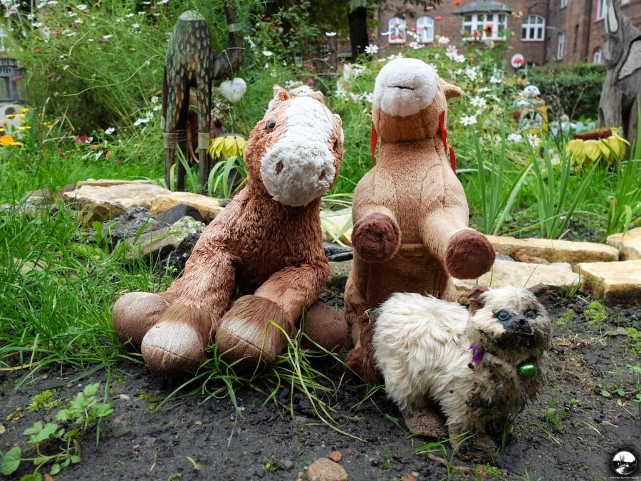 Cute yet Creepy. Visiting the Magic Yard of Toys [Katowice, Poland ...